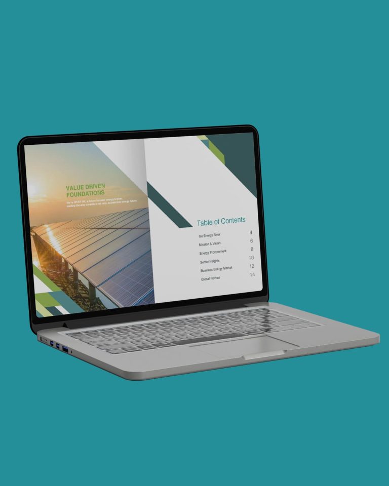 Business Information Pack Design – Digenixa